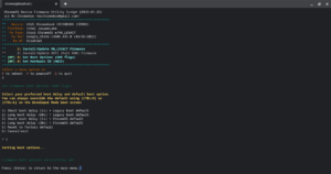 Linux on a Chromebook – Quantulum Ltd